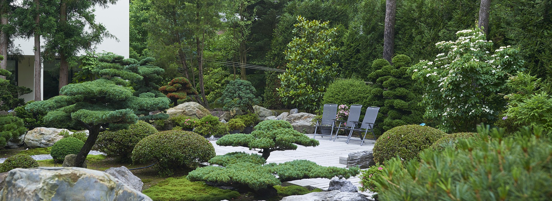 Bomen voor een Japanse / Oosterse tuin