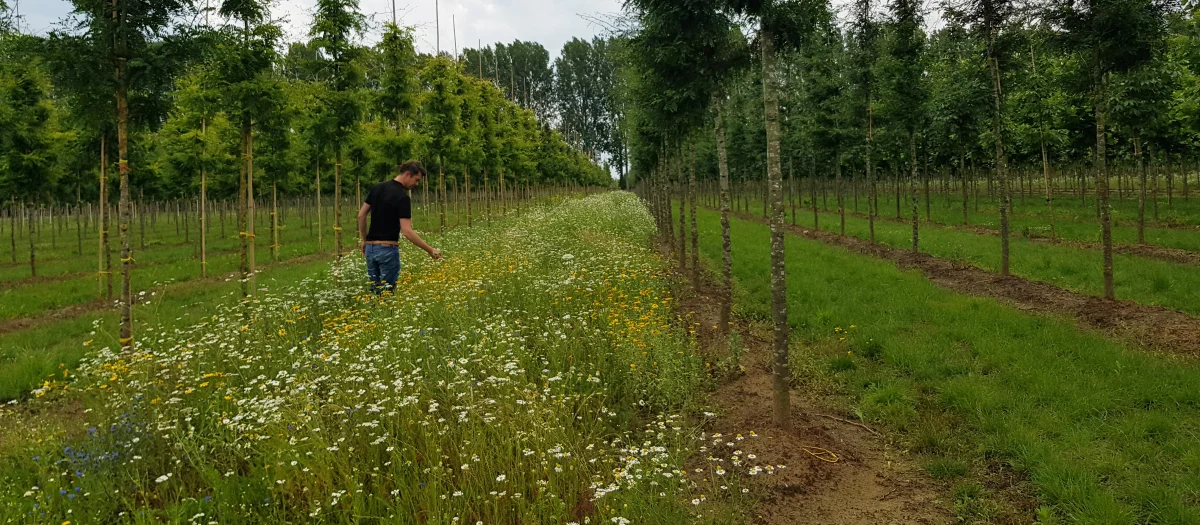 Natuur regelt zelf veel gewasbescherming