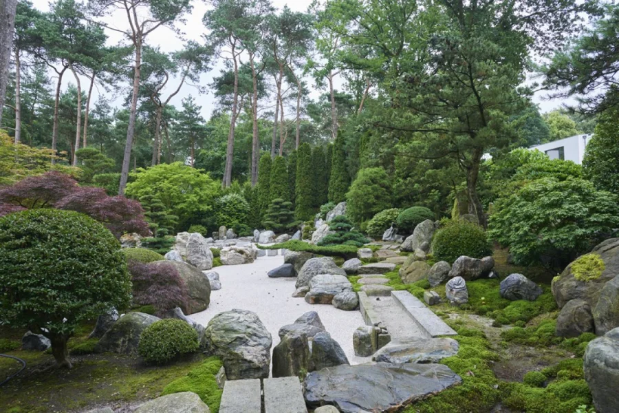 Bomen voor een Japanse / Oosterse tuin
