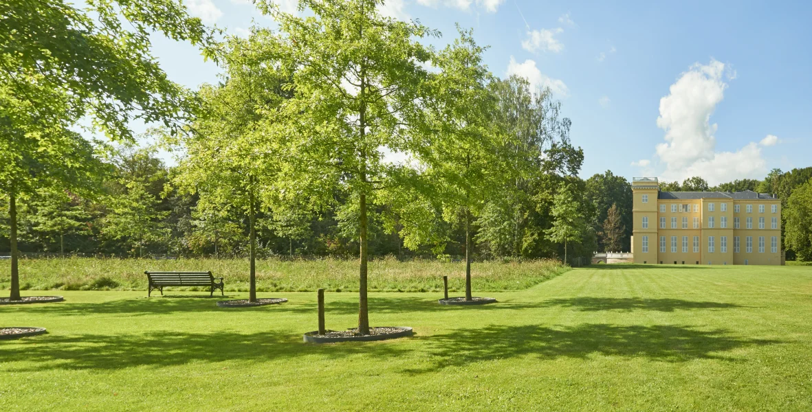 Keilingbosquet Kasteel d'Ursel - Hingene