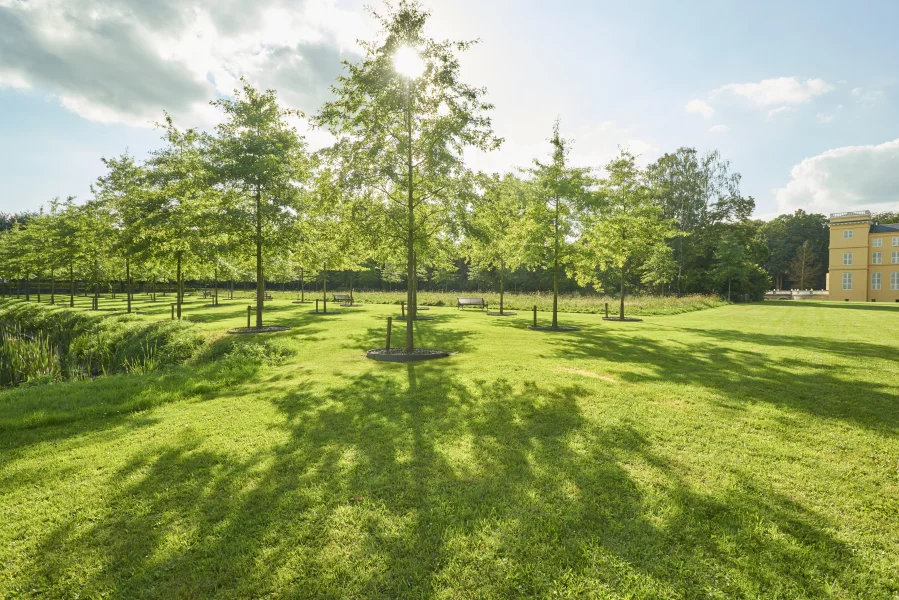 Keilingbosquet Kasteel d'Ursel - Hingene