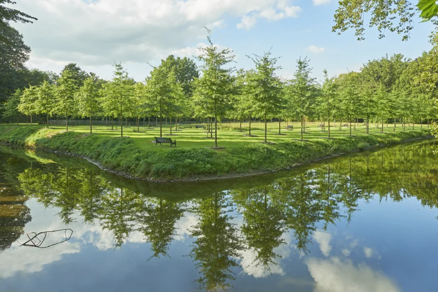 Keilingbosquet Kasteel d'Ursel - Hingene