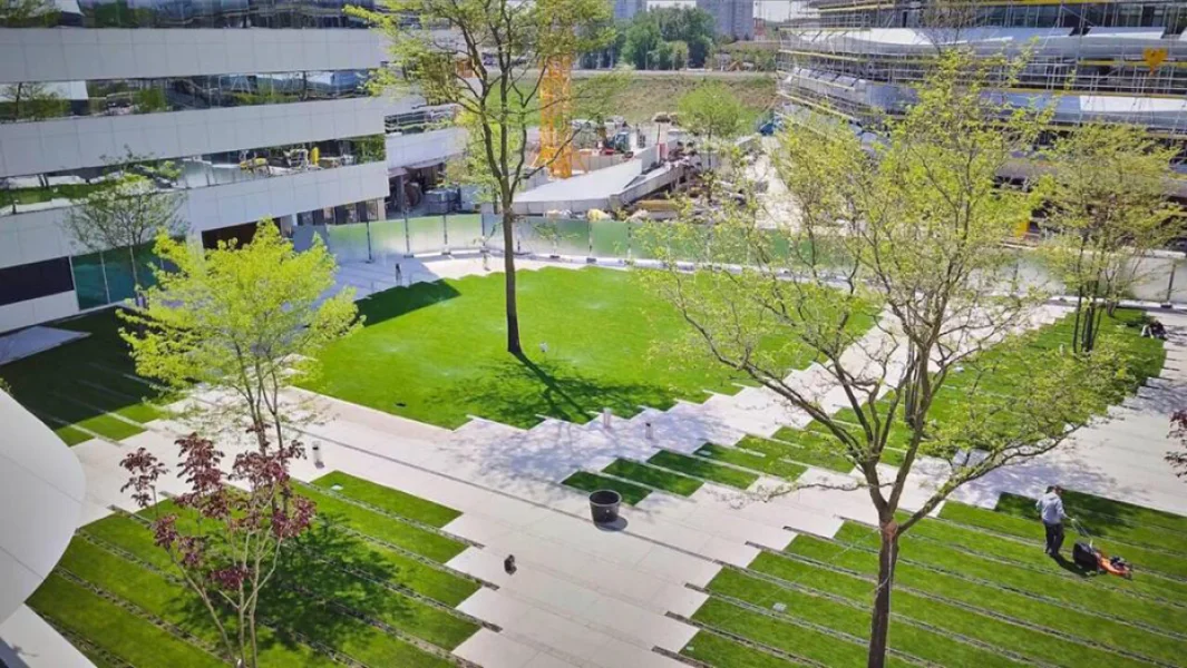 Hoe bomen geluidsvervuiling in stedelijke gebieden verminderen