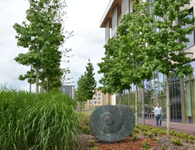 Hoe bomen geluidsvervuiling in stedelijke gebieden verminderen